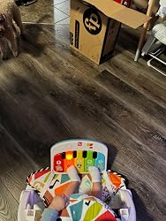Amazon.com: Fisher-Price Portable Baby Chair Kick & Play Deluxe Sit-Me ...