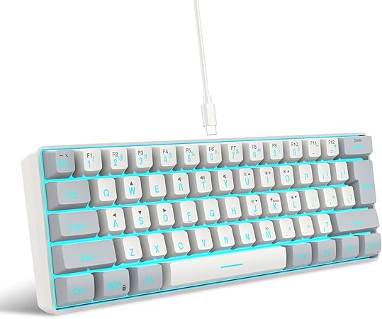 Snpurdiri 60% Wired Gaming Keyboard, RGB Backlit Mini Keyboard ...