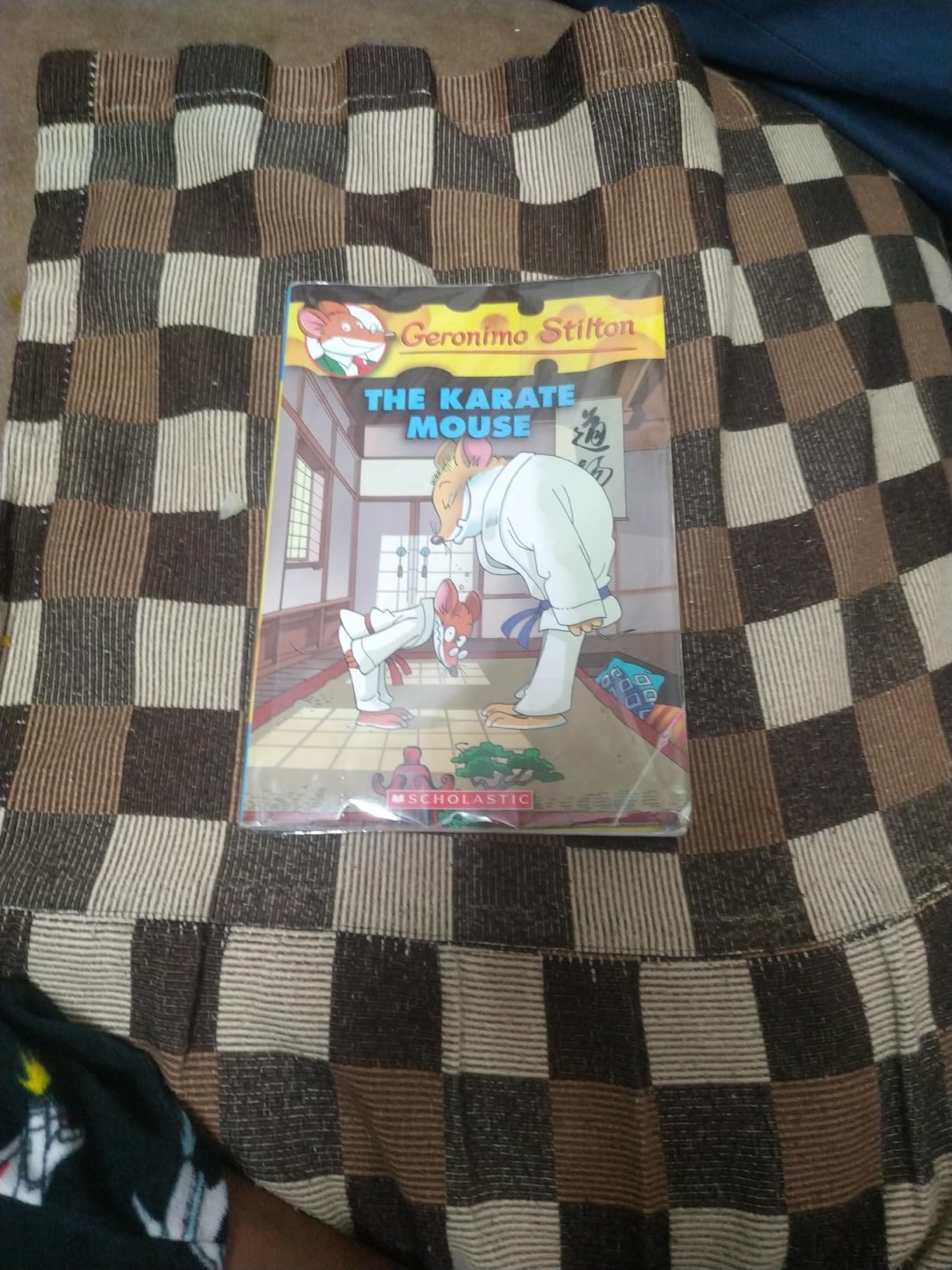 Karate Mouse (Geronimo Stilton #40) eBook : Geronimo Stilton: Amazon.in ...