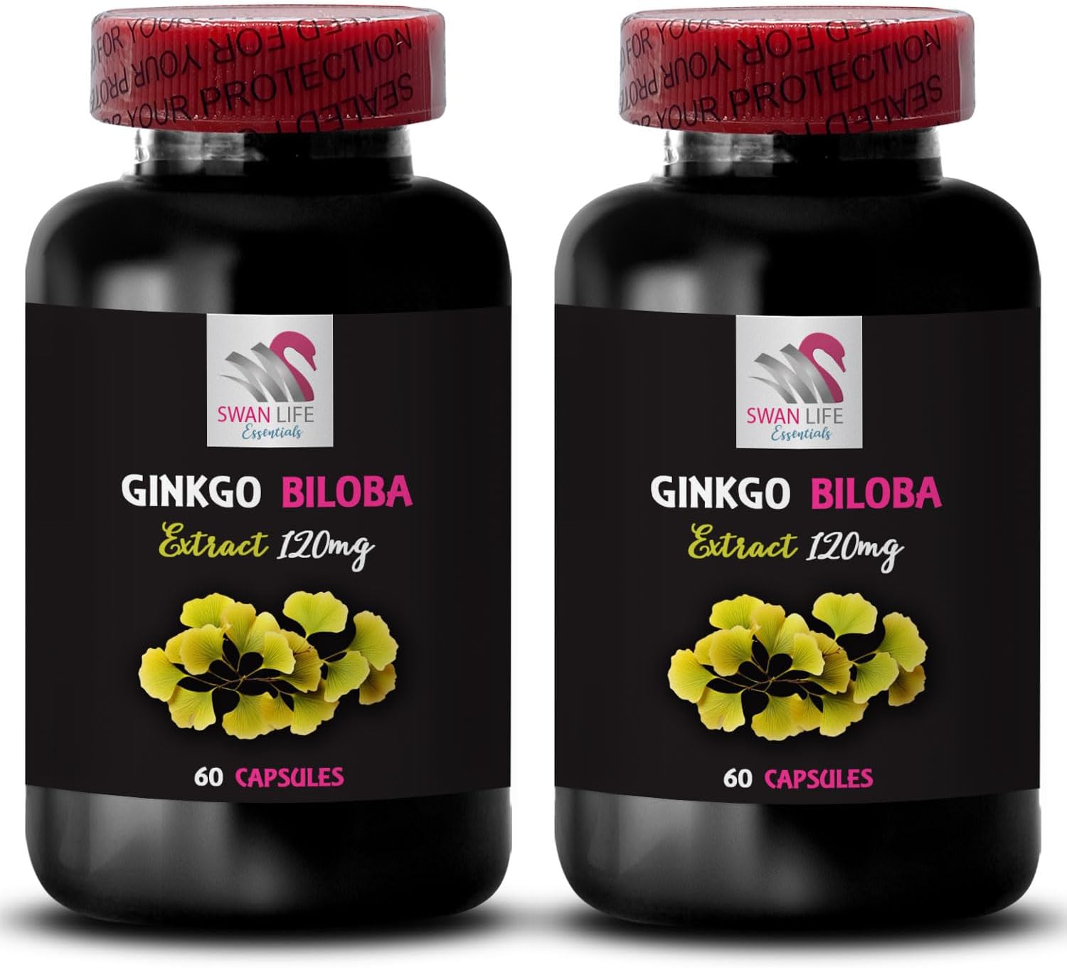 Amazon.com: Botanical antioxidant supplement - GINKGO BILOBA EXTRACT ...