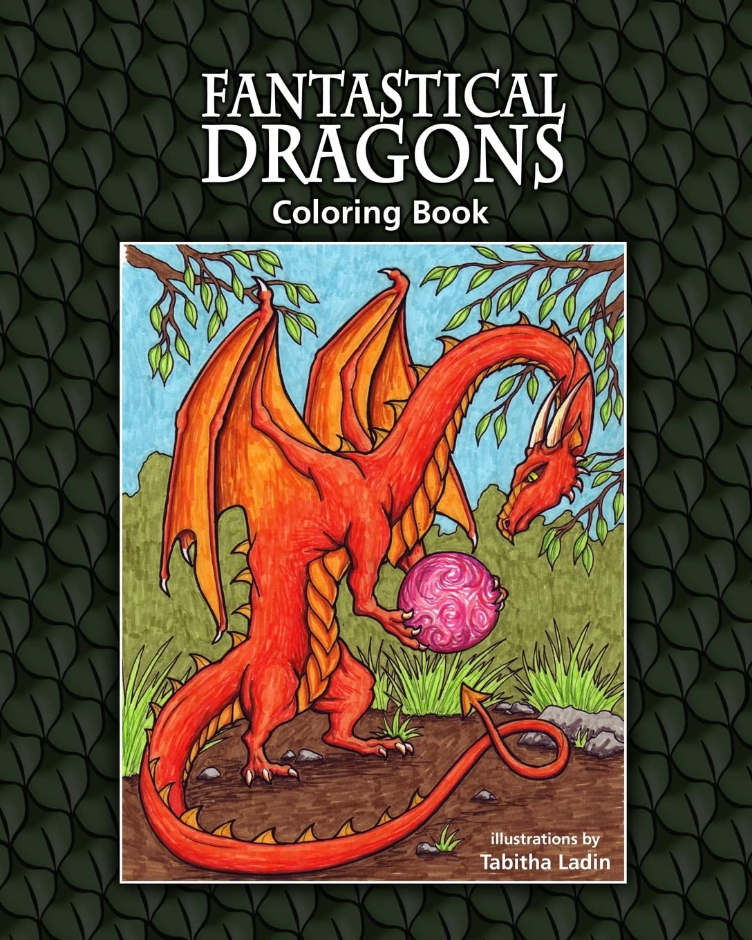 Amazon.com: Fantastical Dragons: Coloring Book: 9781441446091: Ladin ...