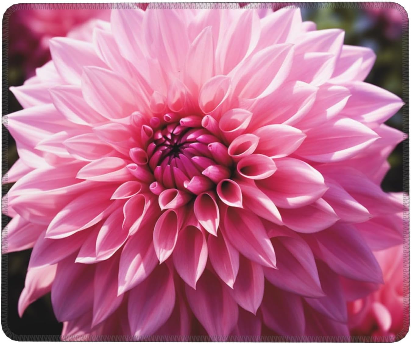 IguaTu Mauspad mit rosa Dahlienblüten, dick, rutschfest, gummiert ...