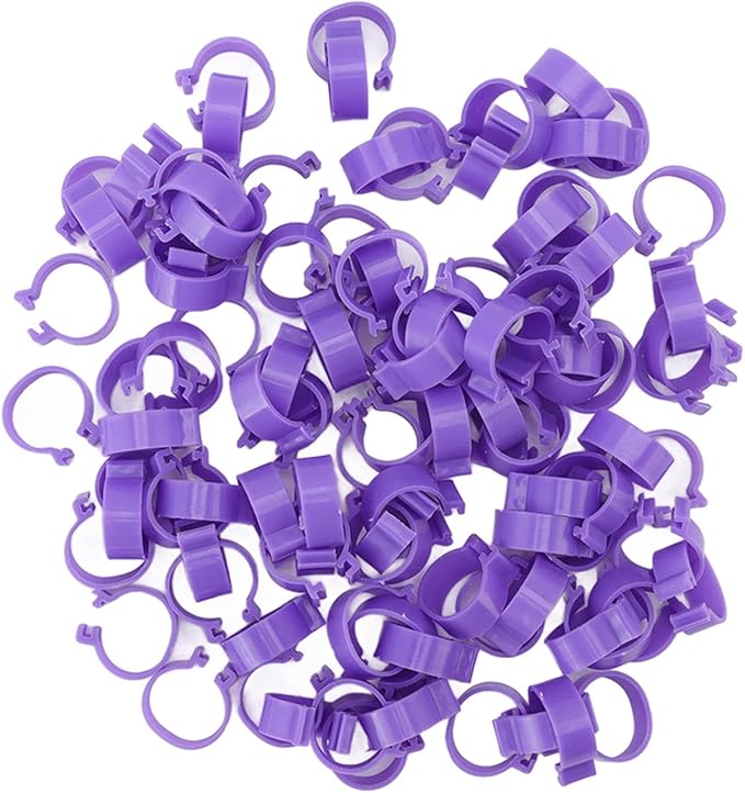 Amazon.com: 100Pcs Chicken Leg Bands, Duck Bands Chicken Tags for Legs ...