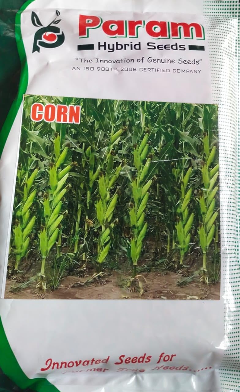 Hybrid Pioneer sigment corn seeds maize seeds highest yield Verity 1kg ...