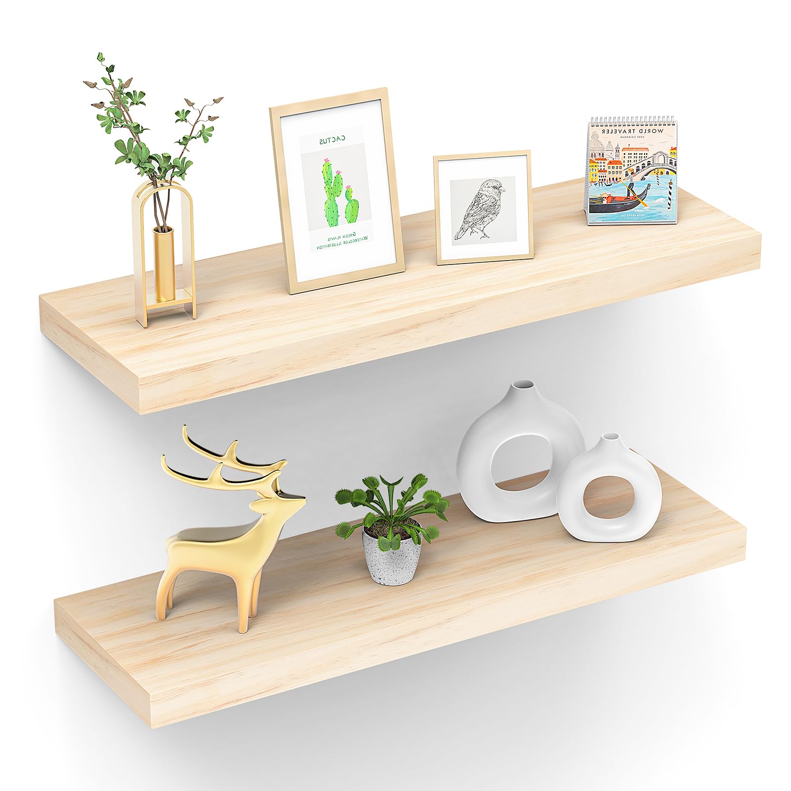 Amazon.com: MIAGLACE Floating Shelves – Wall Mounted Shelves for Home ...