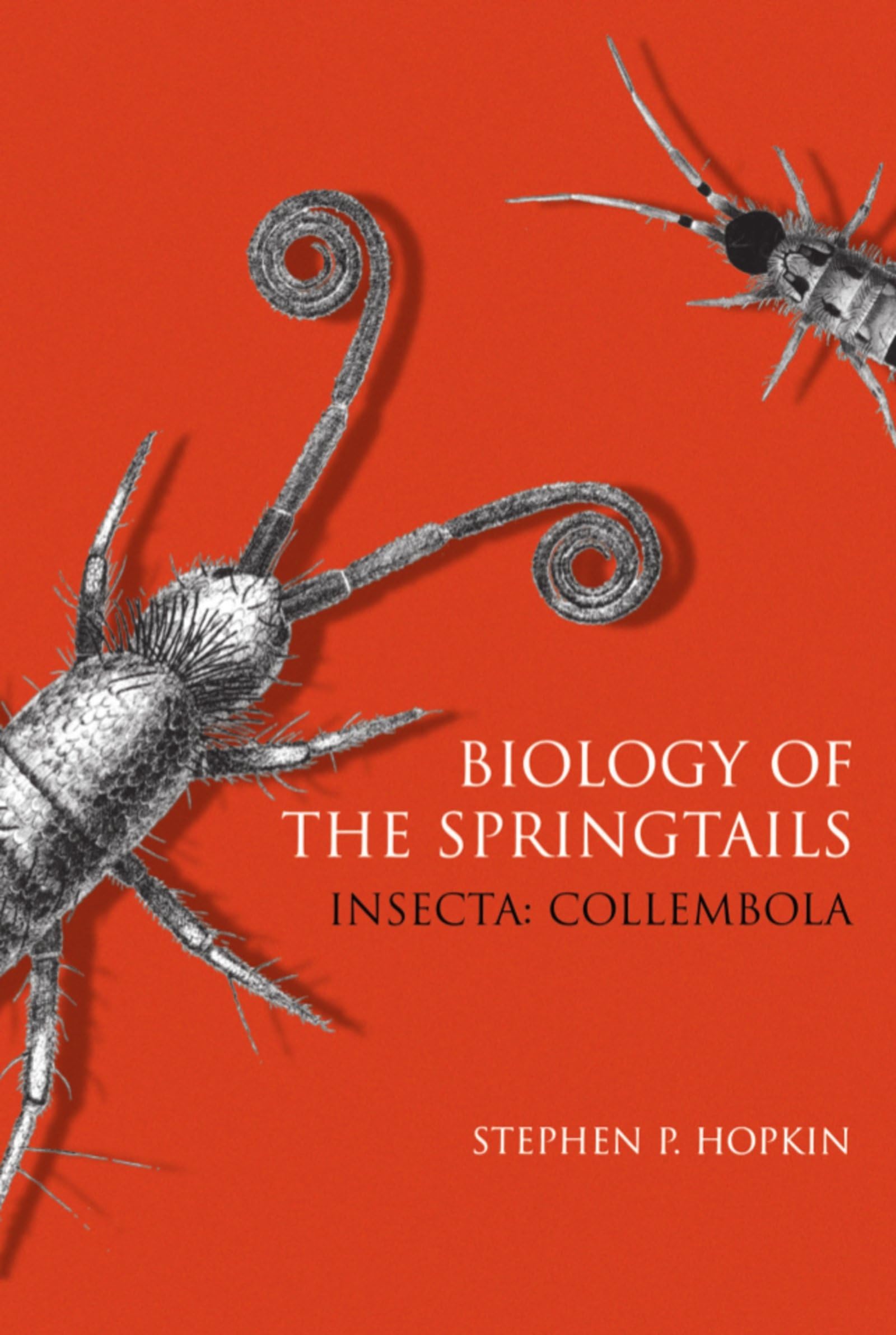 Amazon.com: Biology of Springtails (Insecta: Collembola): 9780198540847 ...