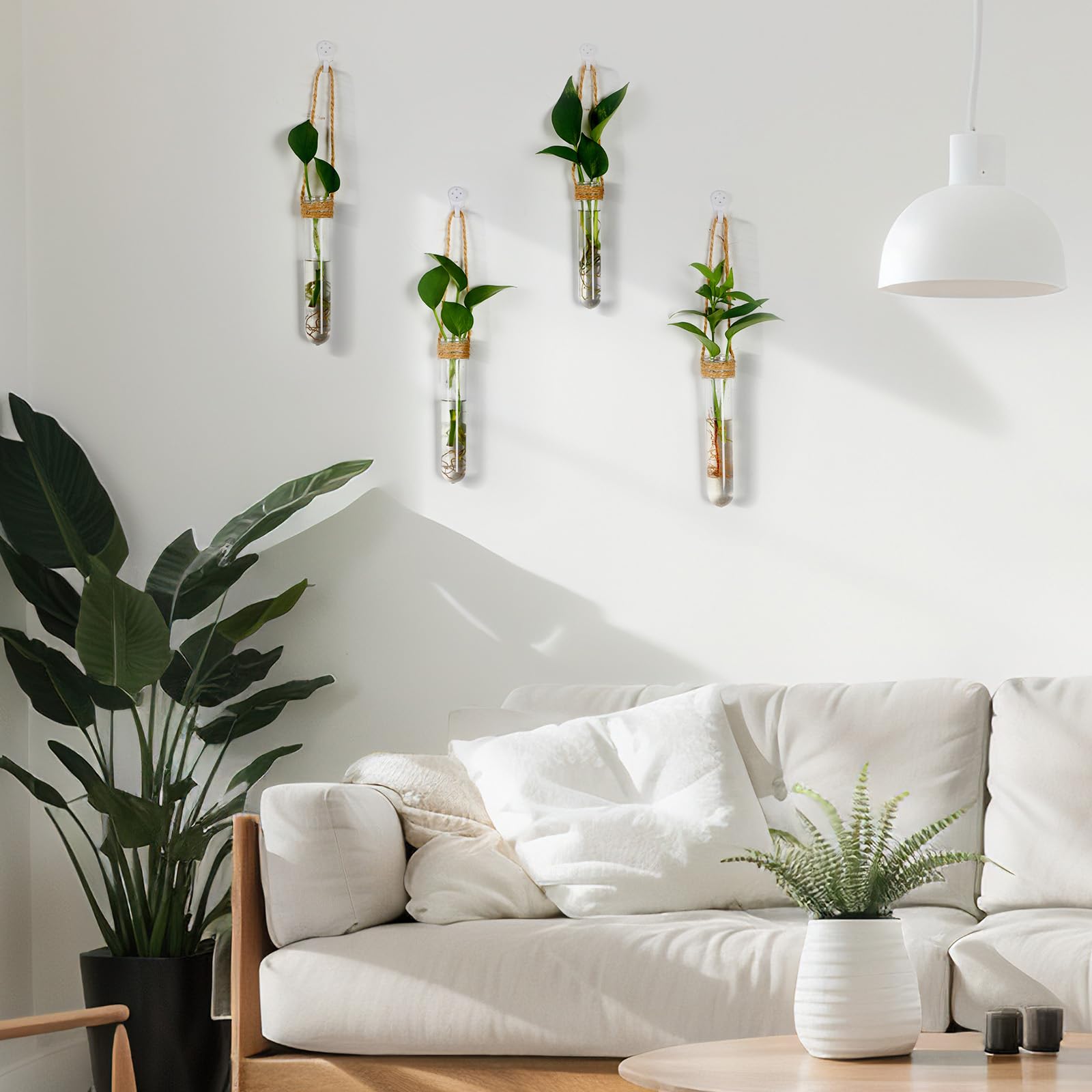 Snapklik.com : Baderke Plastic Hanging Propagation Tubes Propagation ...
