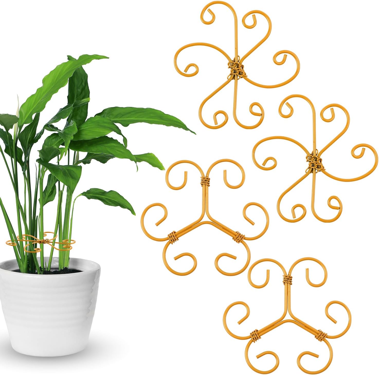 Amazon.com : 4-Pack Plant Stem Support, Plant Stabilizer for Indoor ...