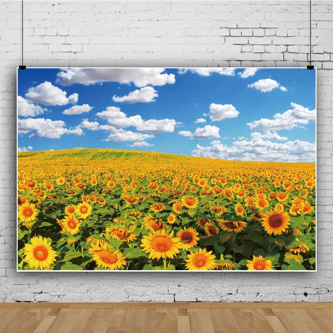 Amazon.com : Field Sunflower Backdrop 7 x 5 ft Farmhouse Spring Yellow ...