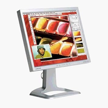Amazon.com: Samsung SyncMaster 213T 21" LCD Flat Panel Monitor -Silver ...