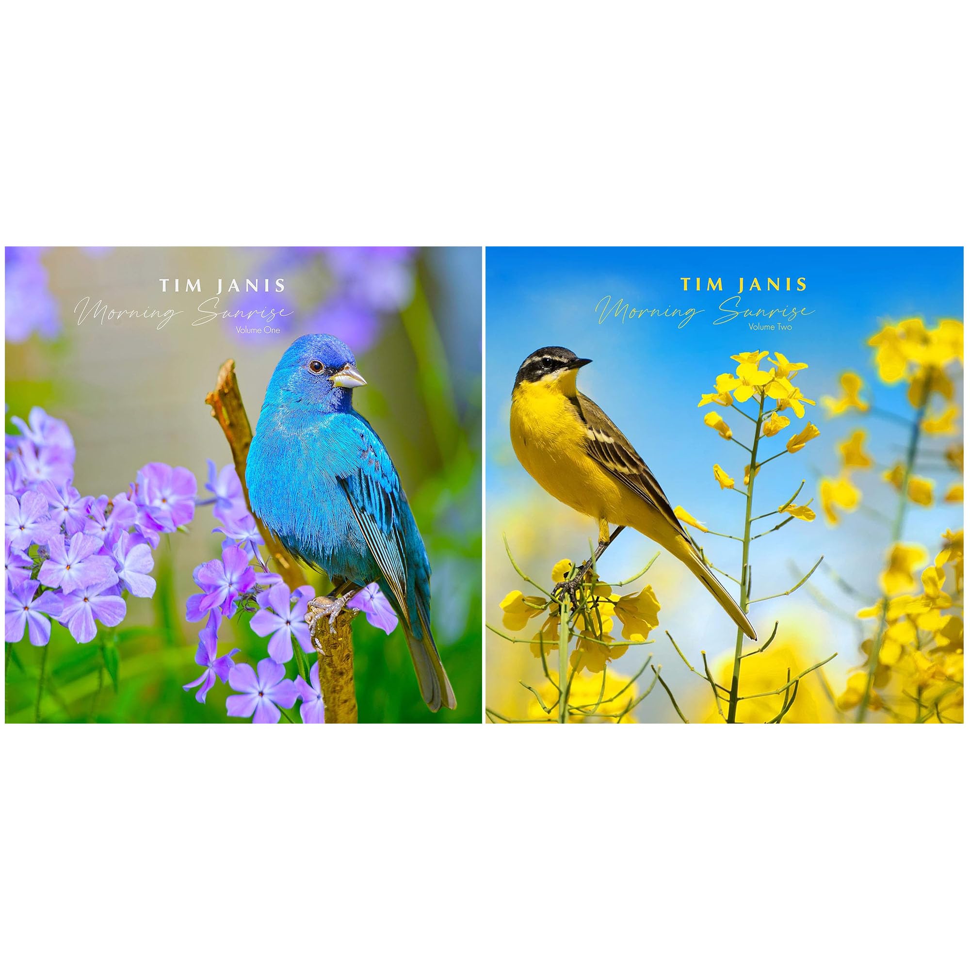 Tim Janis Morning Sunrise Volume One & Two: Elevate Your Mornings with ...