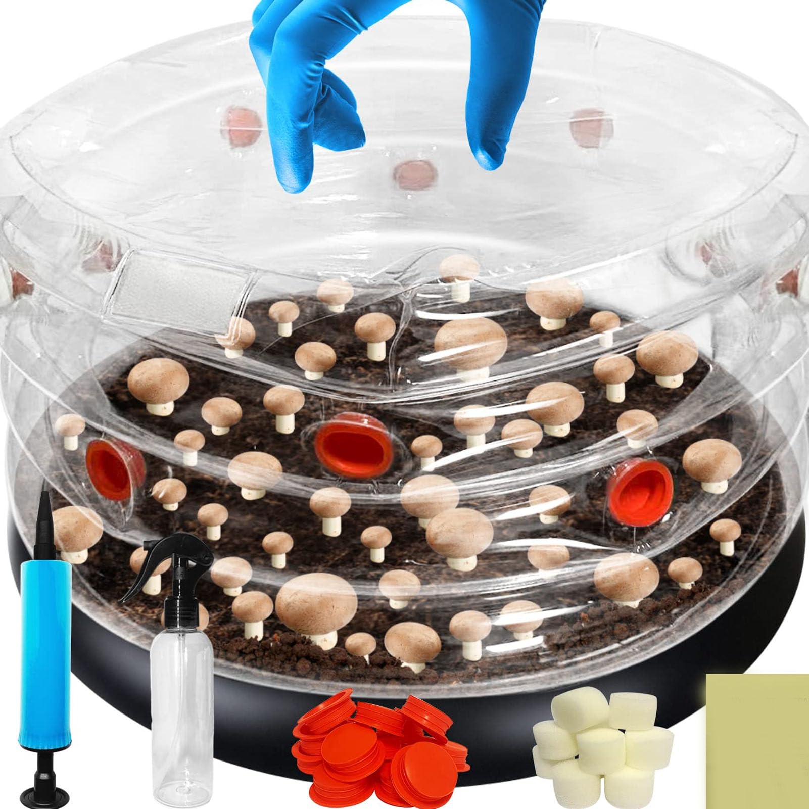 Mushroom Monotub Kit, Home Inflatable Mushroom Grow Kit, Save Your ...