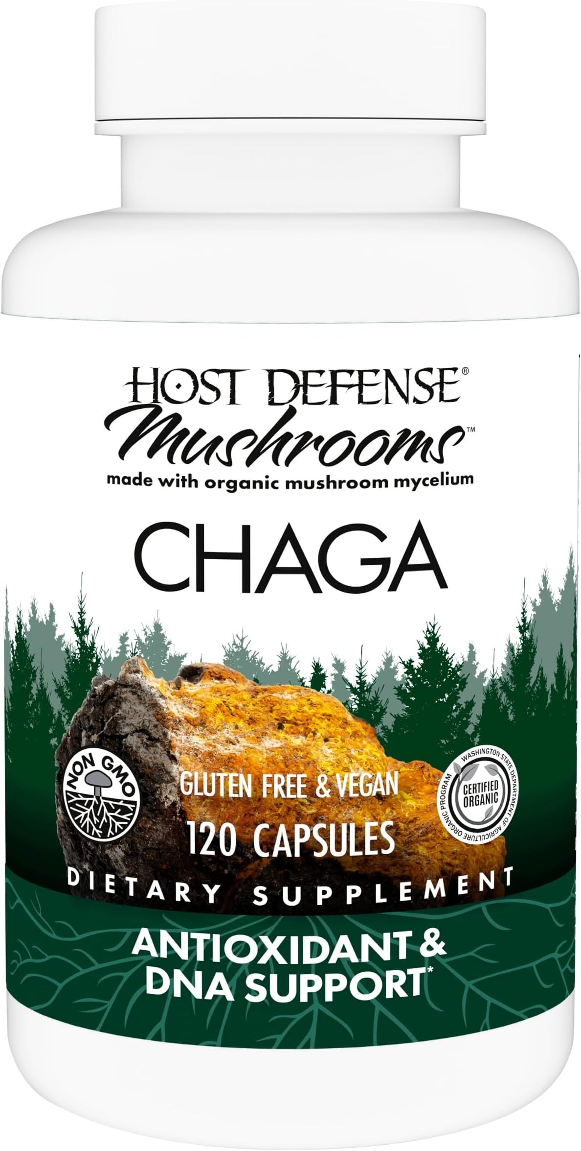 Amazon.com: Horbäach Chaga Mushroom Capsules | 180 Count | Non-GMO ...