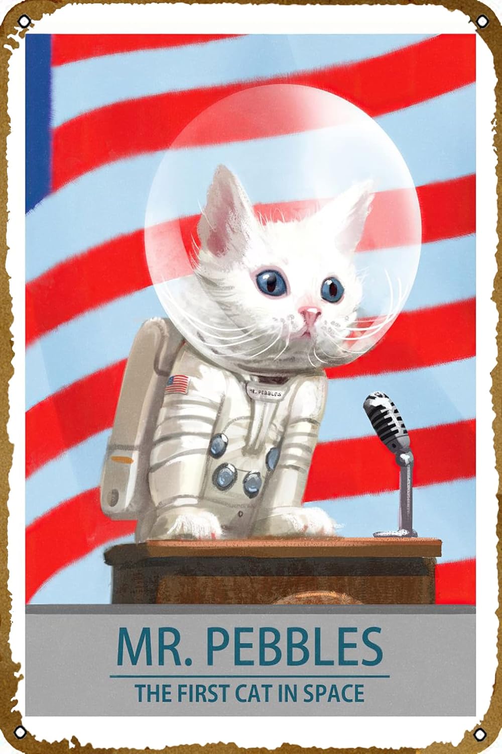 Amazon.com: Mr Pebbles Poster Video Game Metal Tin Sign Gaming Cool ...