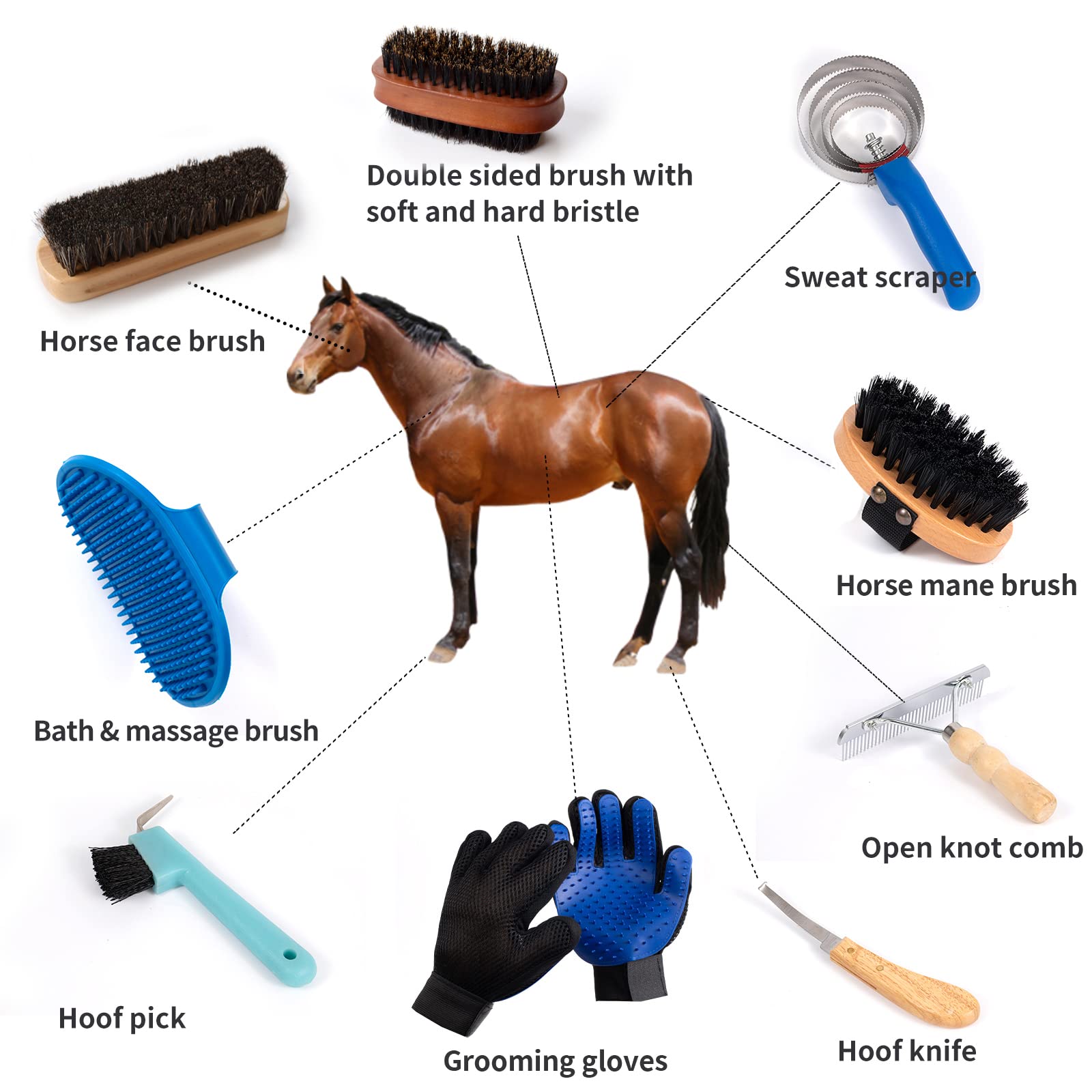 Horse Brushes Names And Uses Mane And Tail Brush BioMane