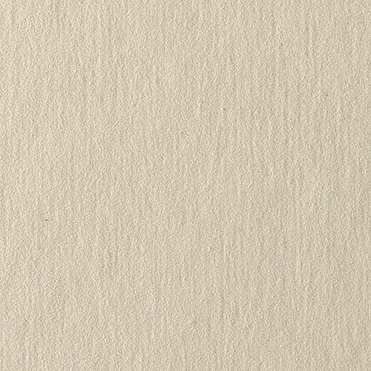 Amazon.com: UART 400 Archival Sanded Pastel Paper- One 24x36 Inch Sheet