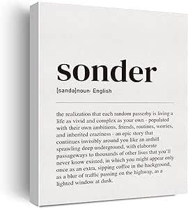 Amazon.com: Sonder Definition Canvas Wall Art Poster Print Gift ...