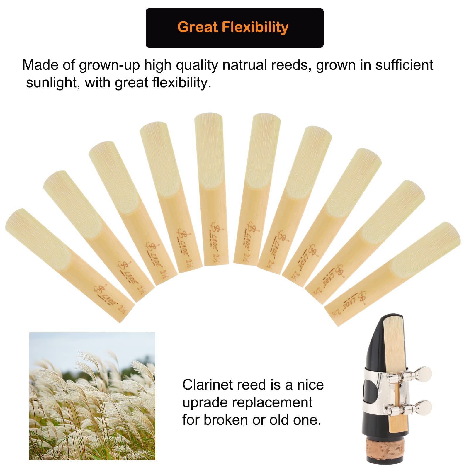 Broken Clarinet Reeds