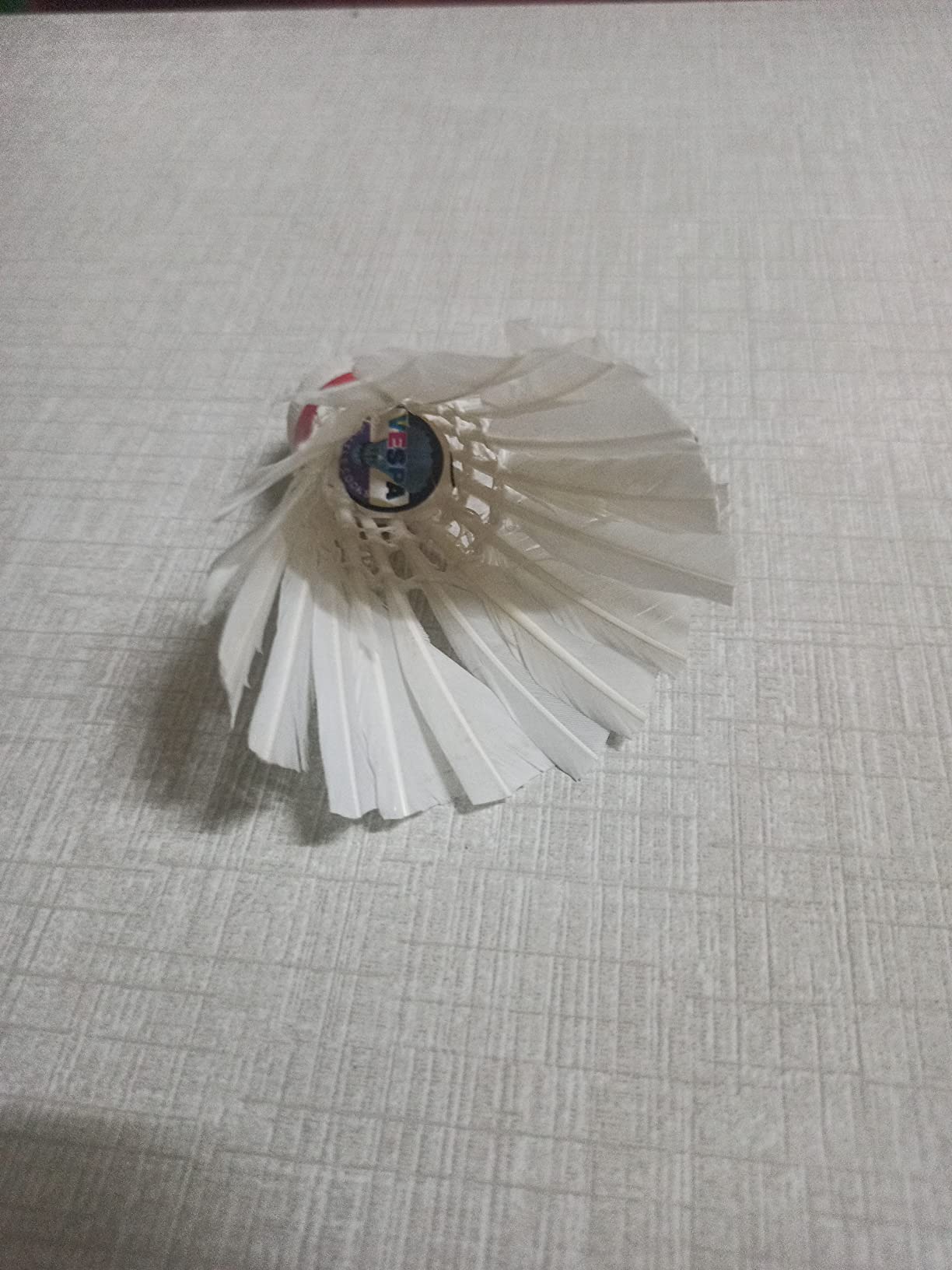 Badminton Shuttlecock Pack of 10 Feather Shuttle Cock : Amazon.in ...