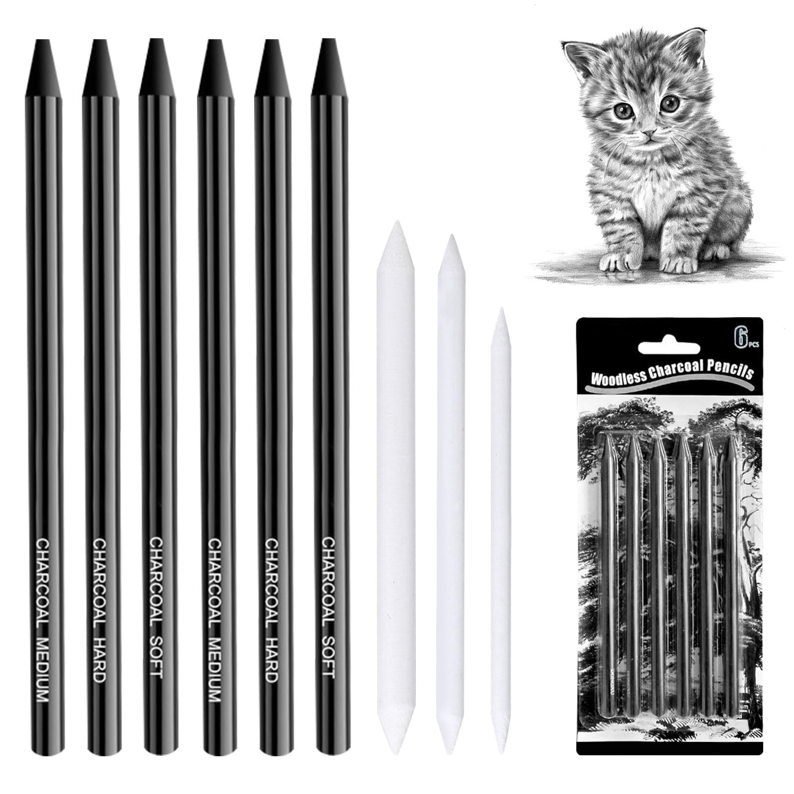 HFDONGL 6 Pieces Charcoal Pencils Charcoal Sticks Graphite Stick with 3 ...