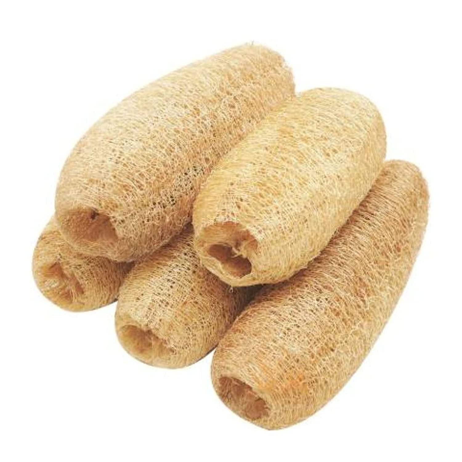 Buy Retail Charms, Bathing Sponge Peerkangai/Turai/Beerakaya/Hirekai ...