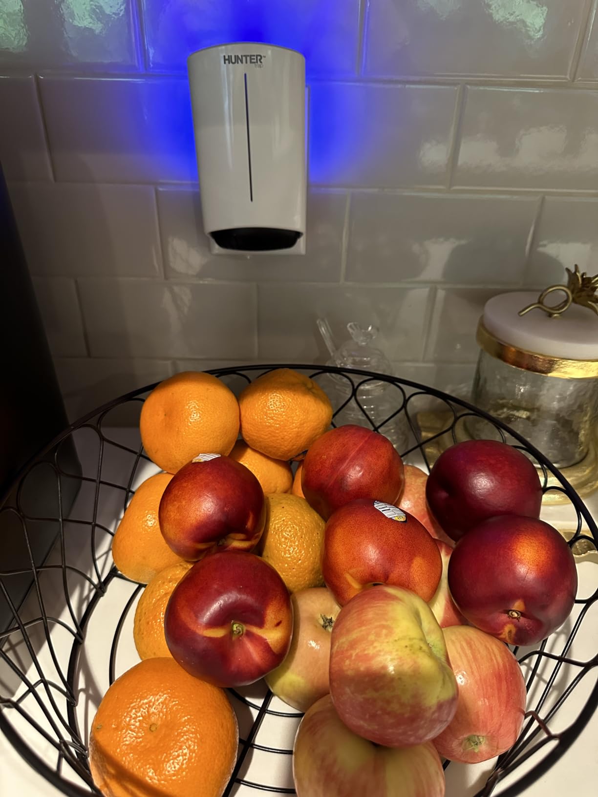 Amazon.com : Hunter Fruti Fly Traps for Indoor, Safer UV Light Knit ...