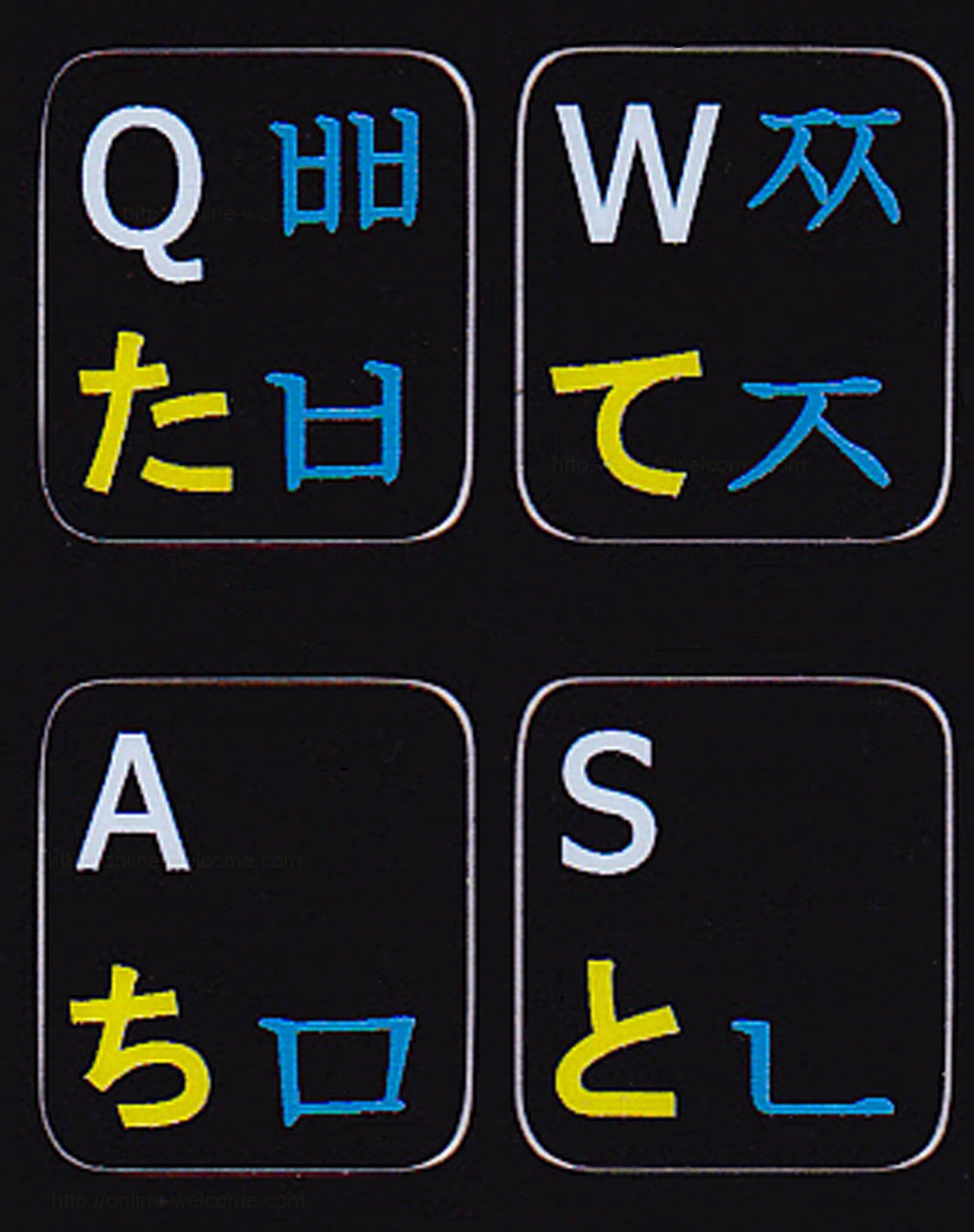 Amazon.com: JAPANESE HIRAGANA KEYBOARD STICKER with GREEN LETTERING ...