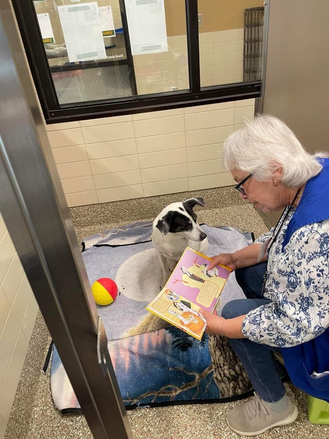 Amazon.com: Three Stories You Can Read to Your Dog: 9780395861356 ...