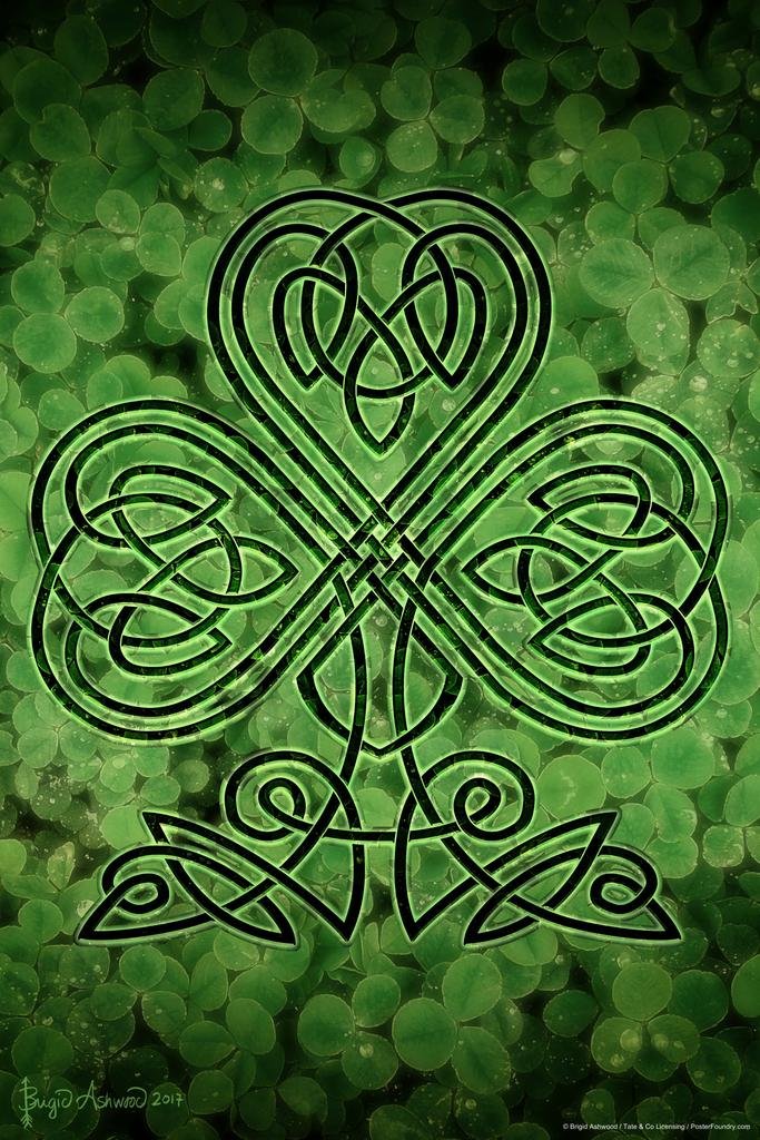 Celtic Clover Drawings