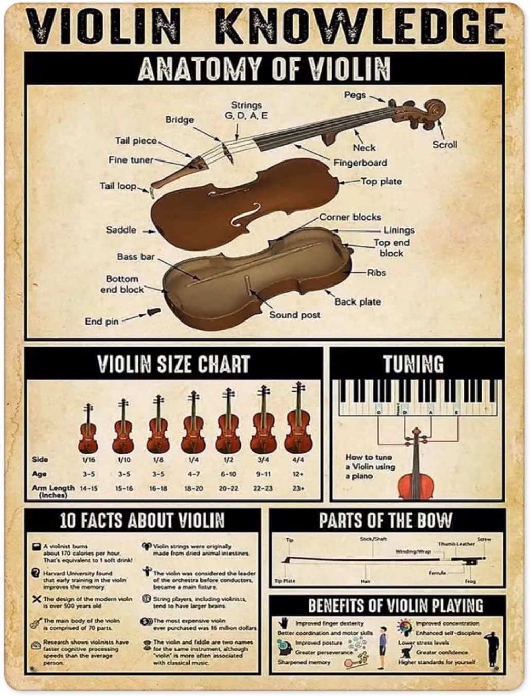 Amazon.com: Violin Knowledge Metal Tin Signs Print Poster Anatomy Of ...