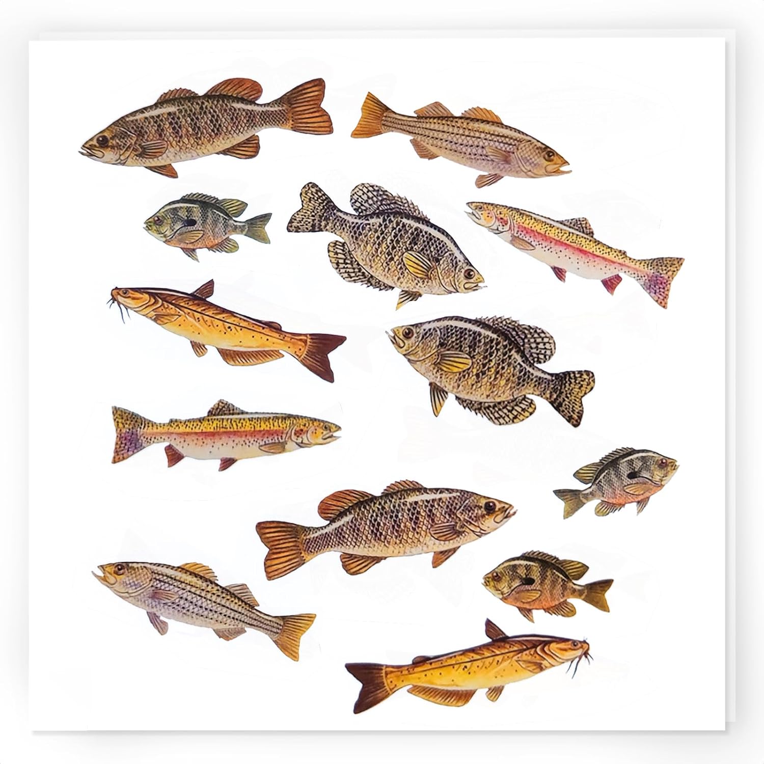 Amazon.com: Fish Stickers for Kids - 2 Sheets Small Fish Stickers for ...