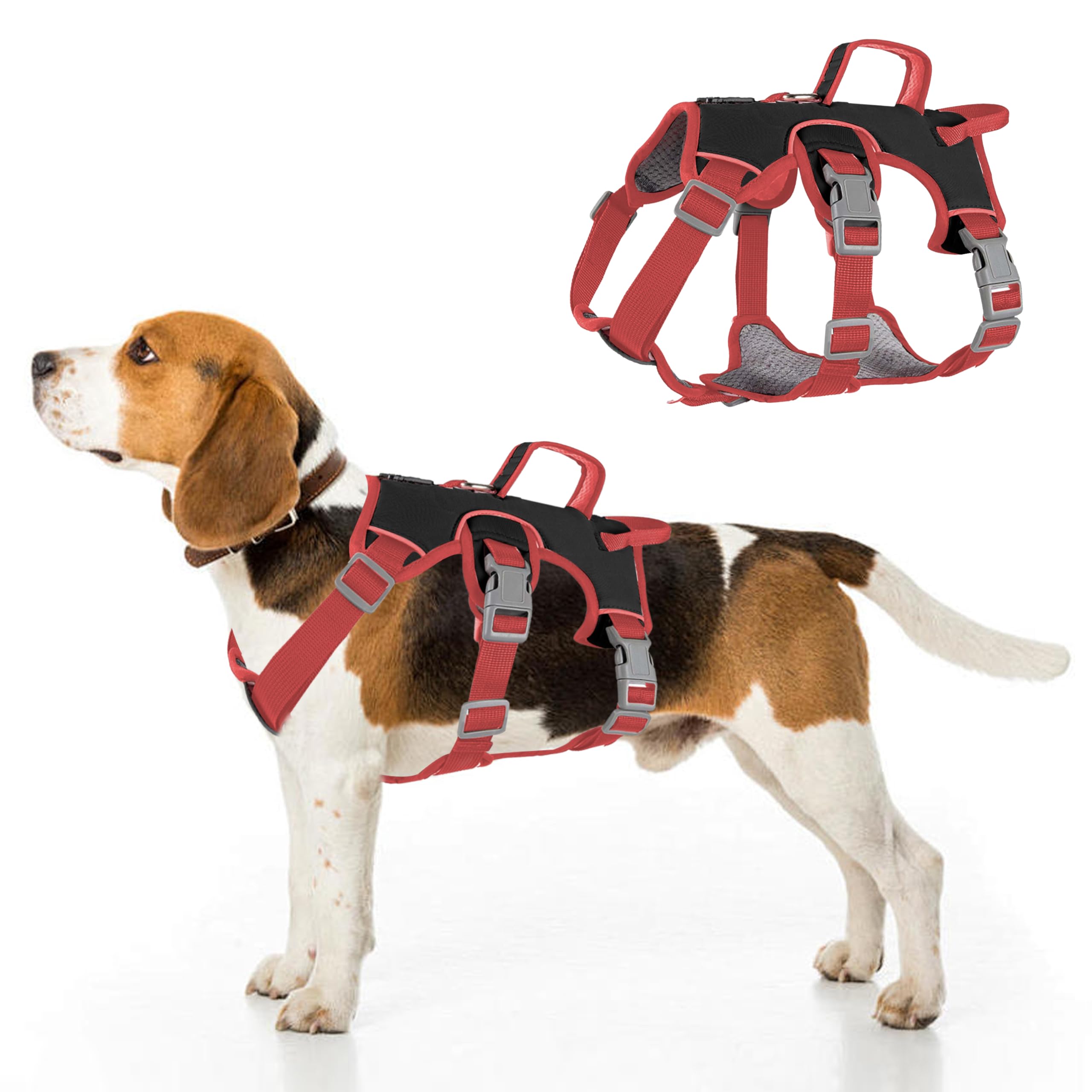 Amazon.com : Escape Proof Dog Harness, Escape Artist Harness ...