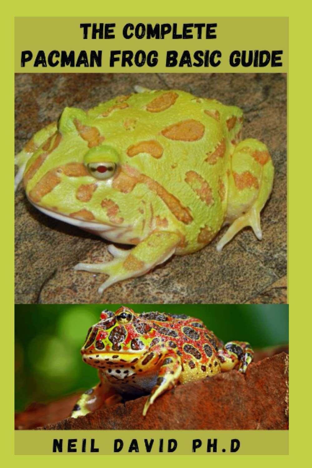 The Complete Pacman Frog Basic Guide Step By Step Guide | Desertcart KUWAIT