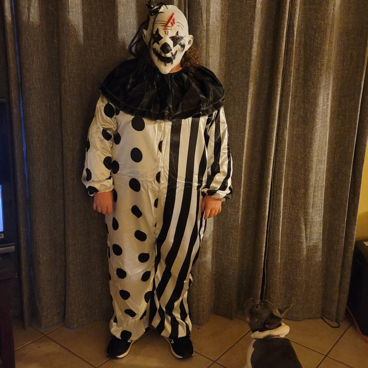 Amazon.com: Fun World Costumes Killer Clown Complete : Clothing, Shoes ...