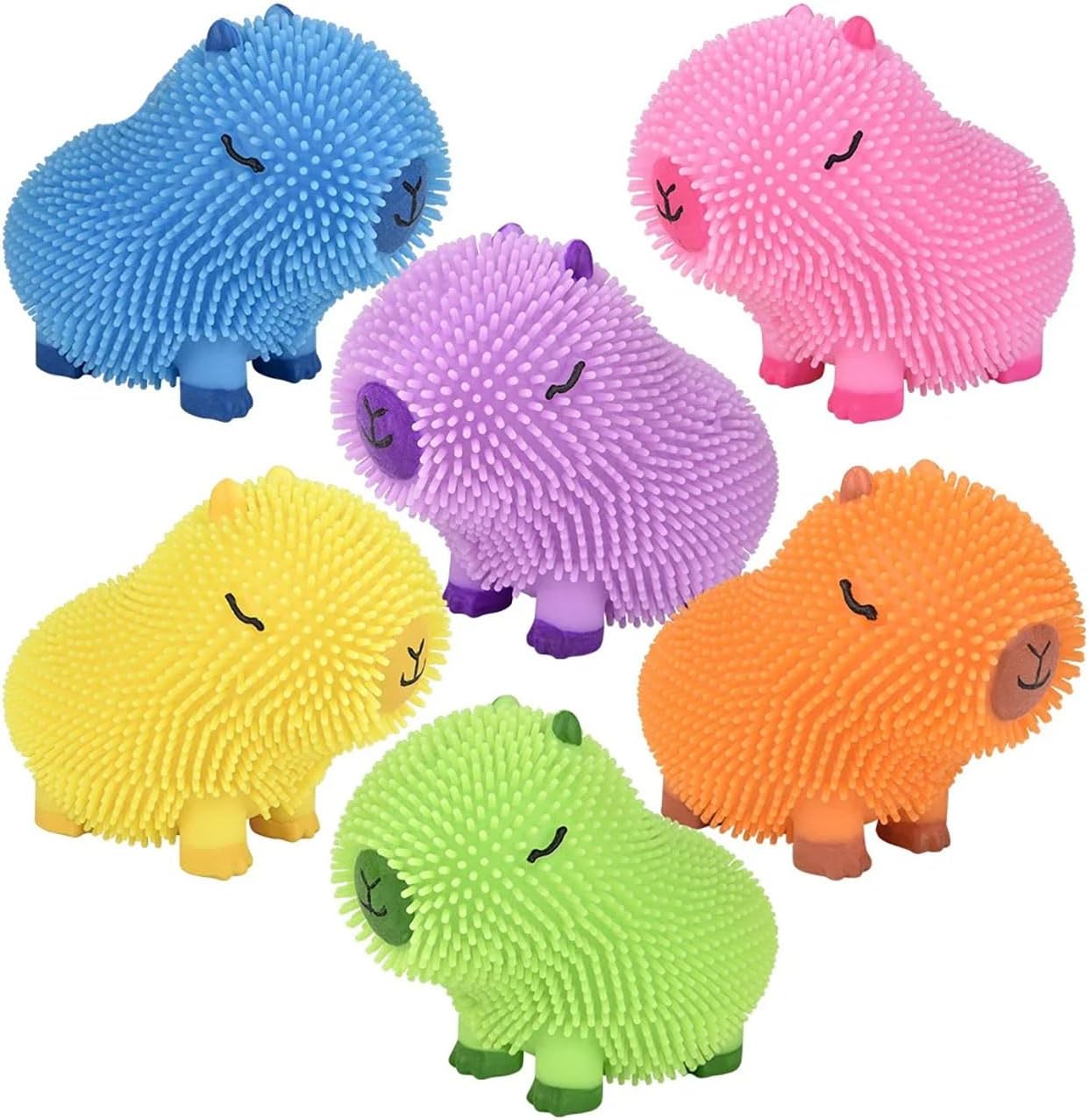 Amazon.com: Set of All 6 Capybara Puffer Air- Filled Squeeze Stress ...