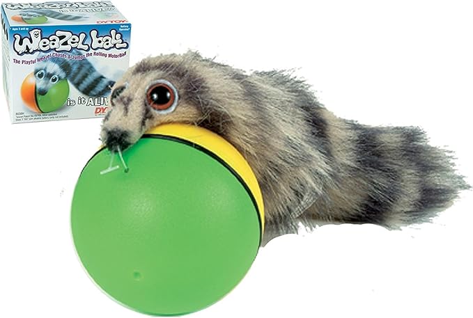 Amazon.com: D.Y. TOY - The Original Weasel Ball, Interactive Motion Toy ...