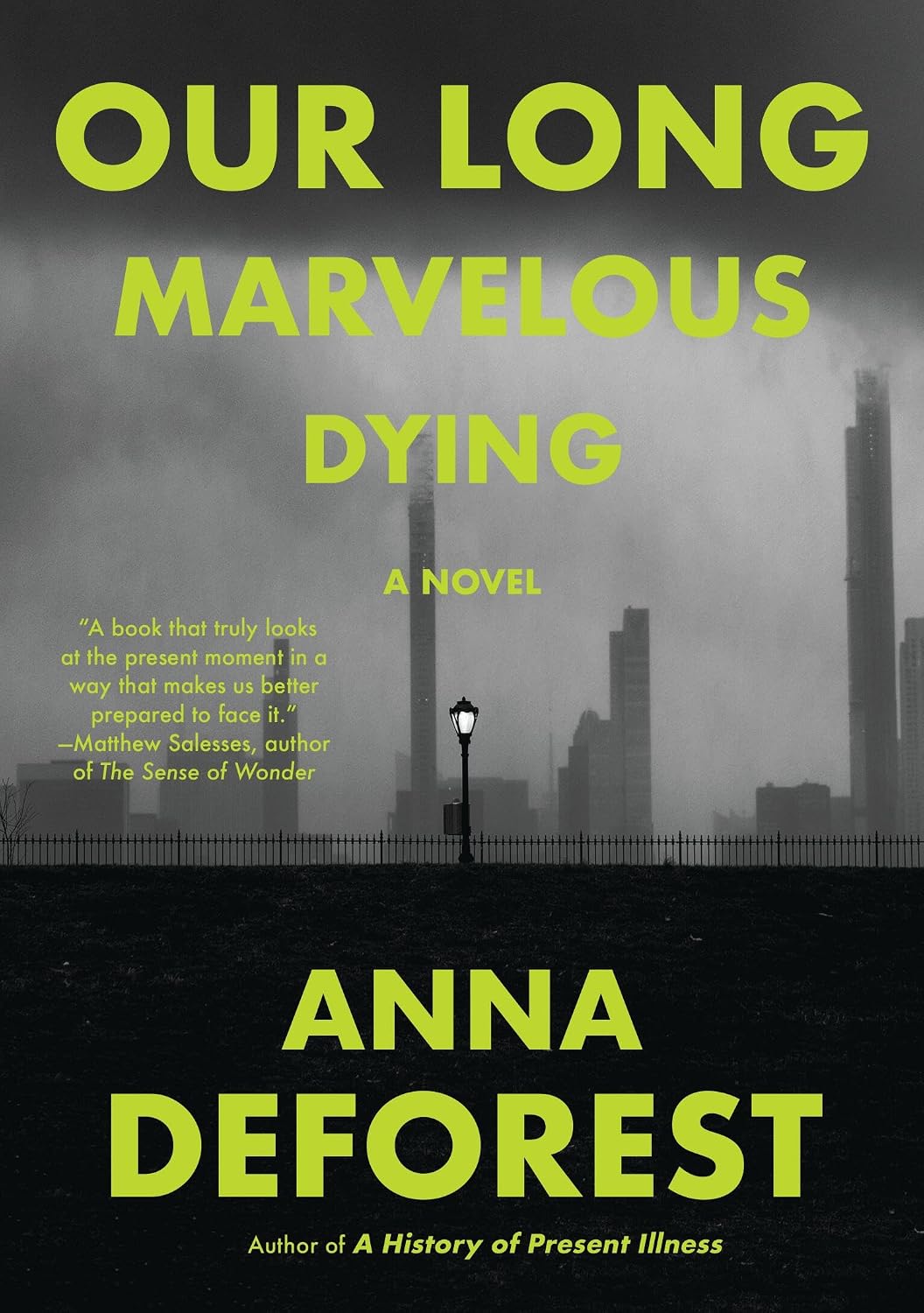 Our Long Marvelous Dying: Amazon.co.uk: DeForest, Anna: 9780316567121 ...