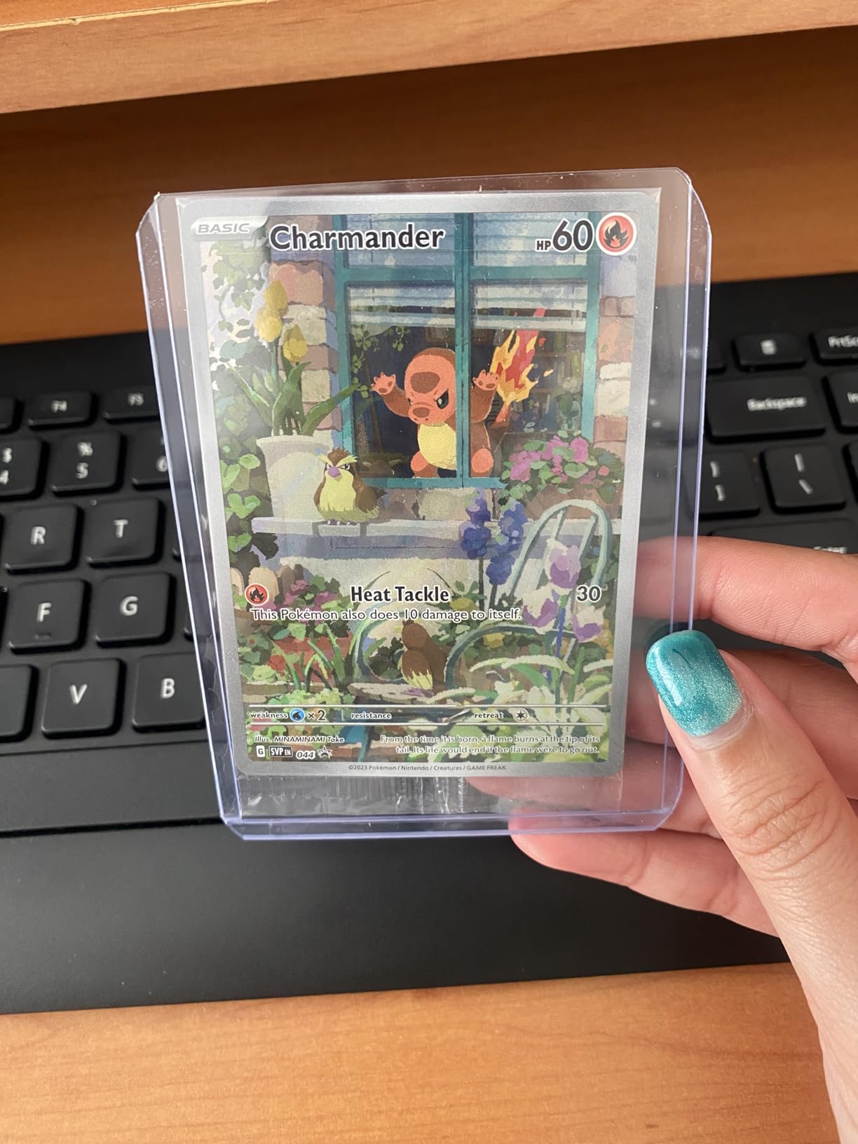 Pokemon - Charmander SVP044 - Obsidian Flames ETB Black Star Promo ...