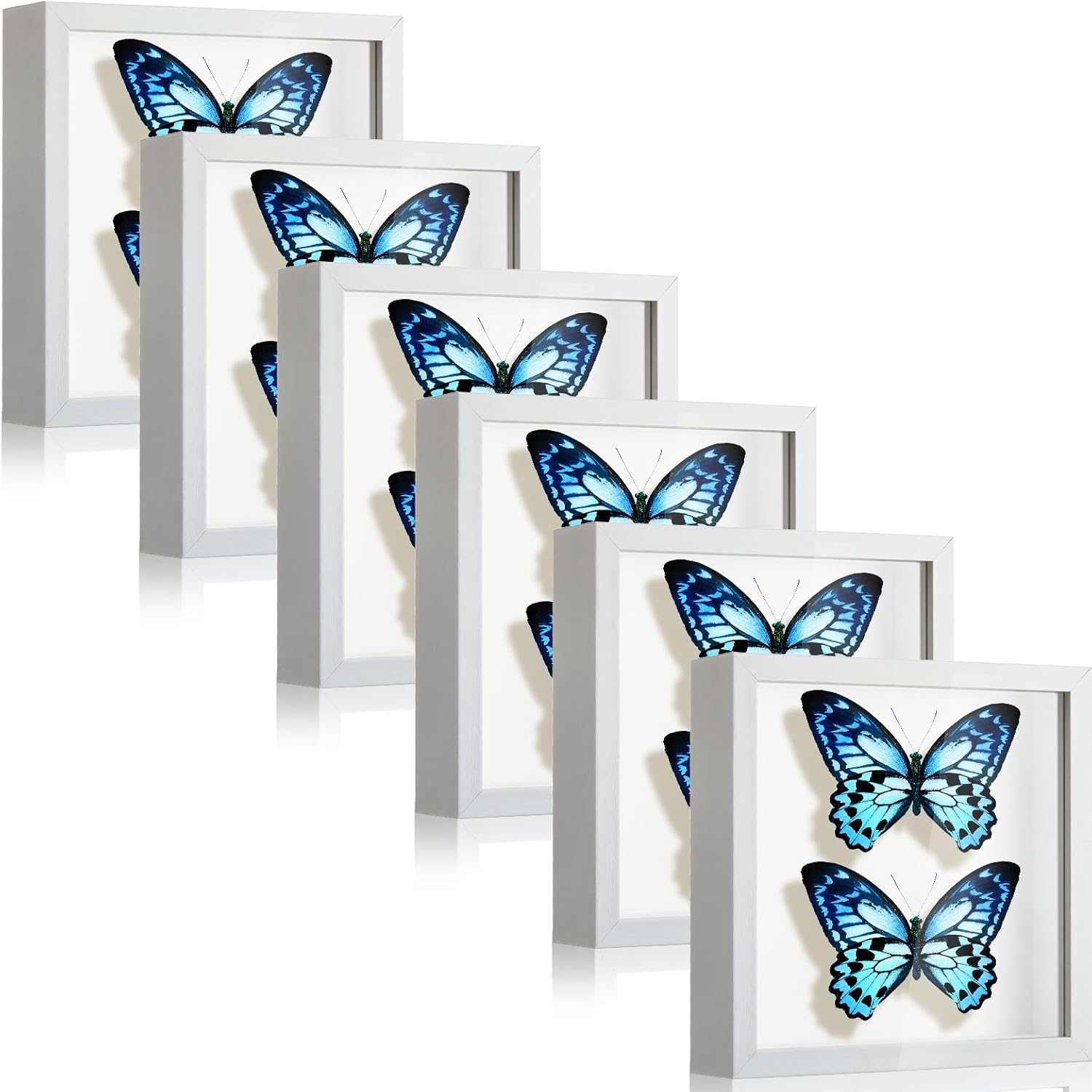 Amazon.com - Tuanse 6 Pieces Shadow Box Picture Frame Square Shadow ...