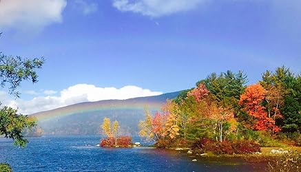 Amazon.com: One Trusted Adult: How to Build Strong Connections ...