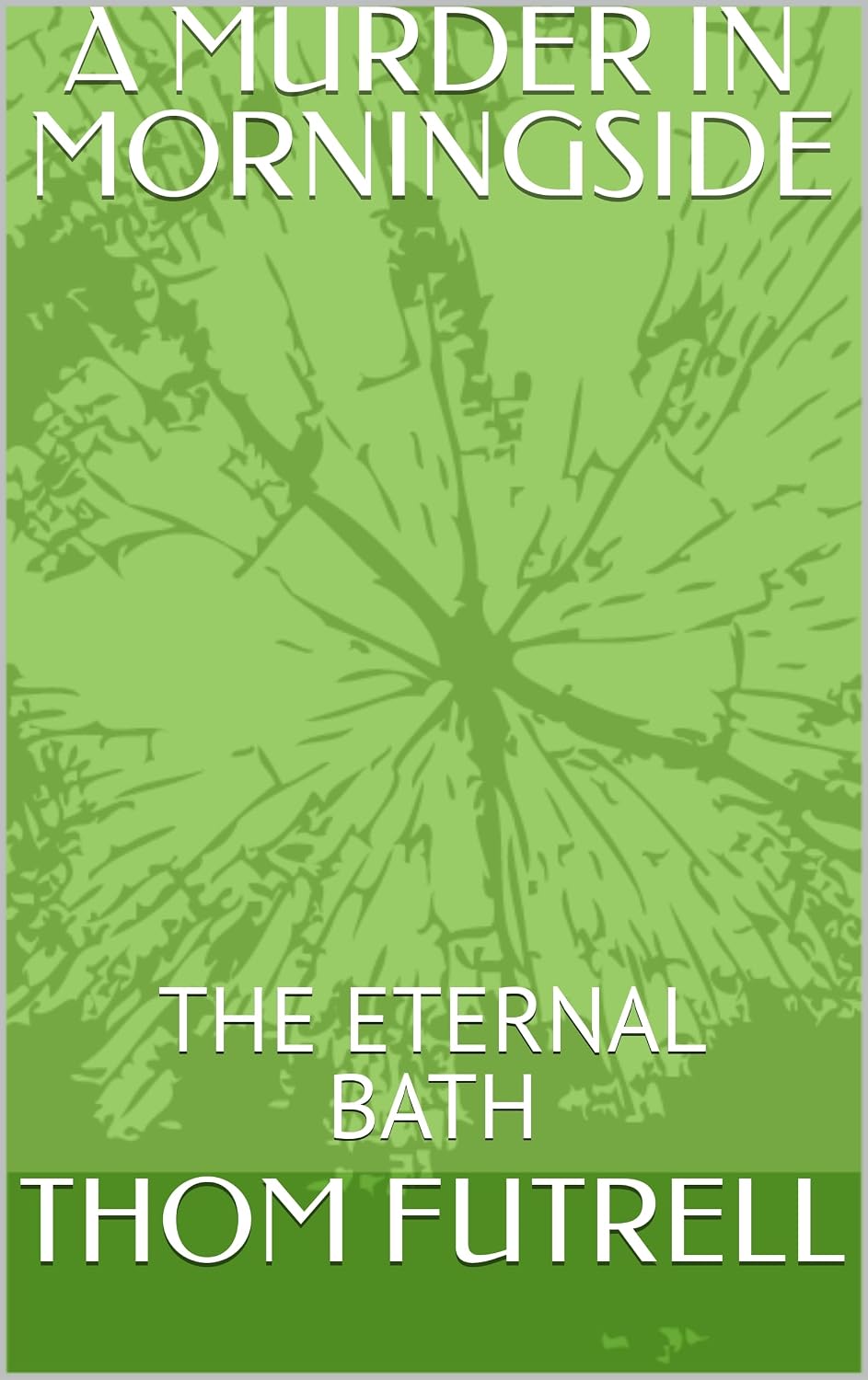 Amazon.com: A MURDER IN MORNINGSIDE: THE ETERNAL BATH eBook : FUTRELL ...