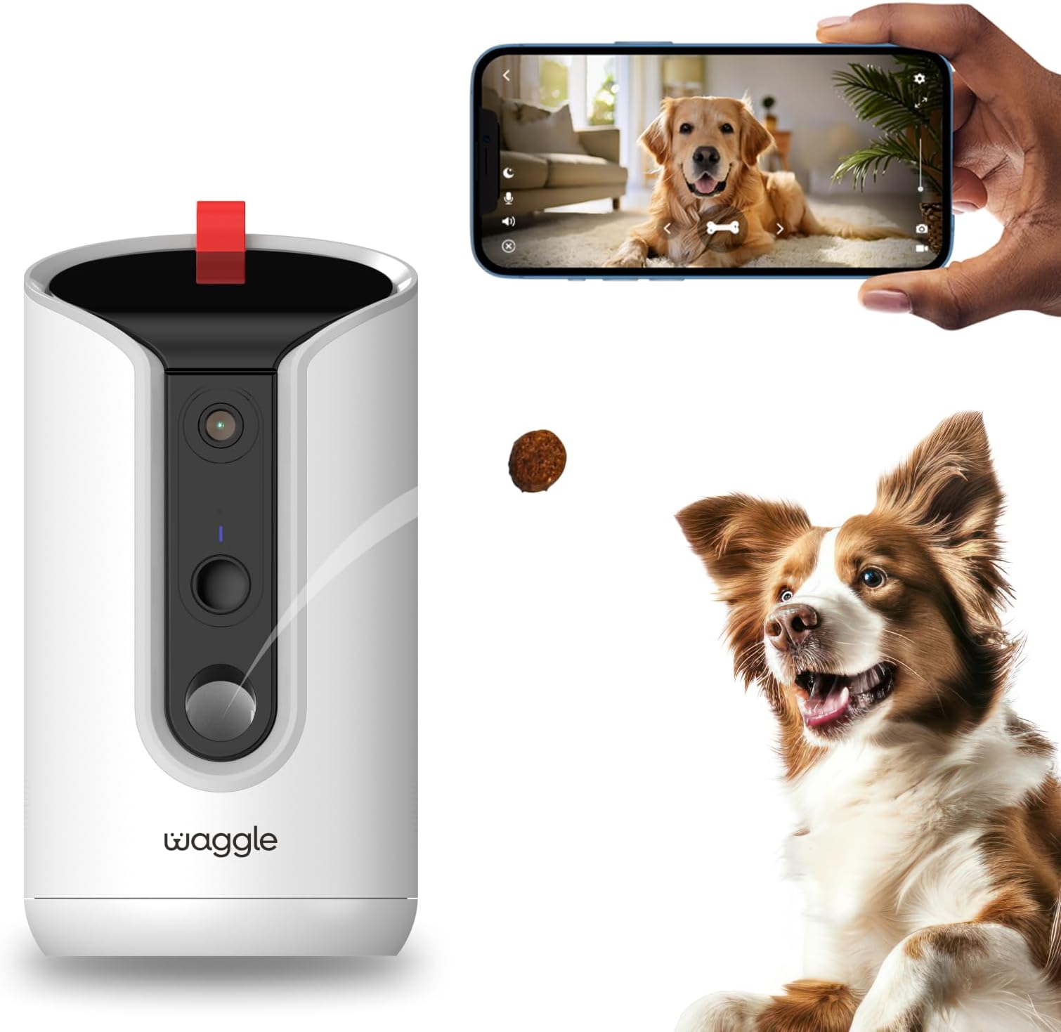 Amazon.com: PARIS RHÔNE 2K Pet Camera, 360°View Dog Camera Treat ...