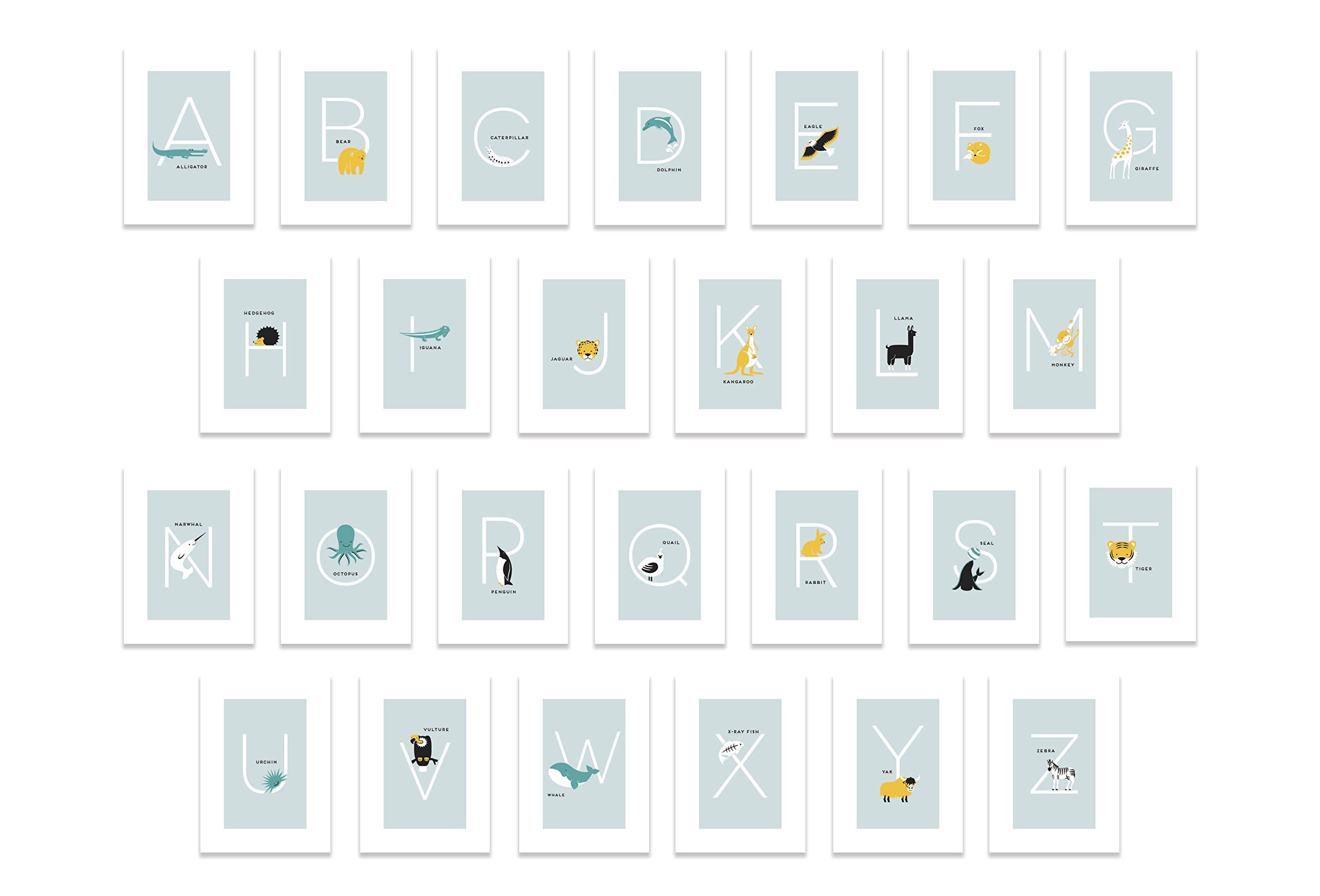 Amazon.com: Alphabet Cards for Classroom - Alphabet Cards for Classroom ...