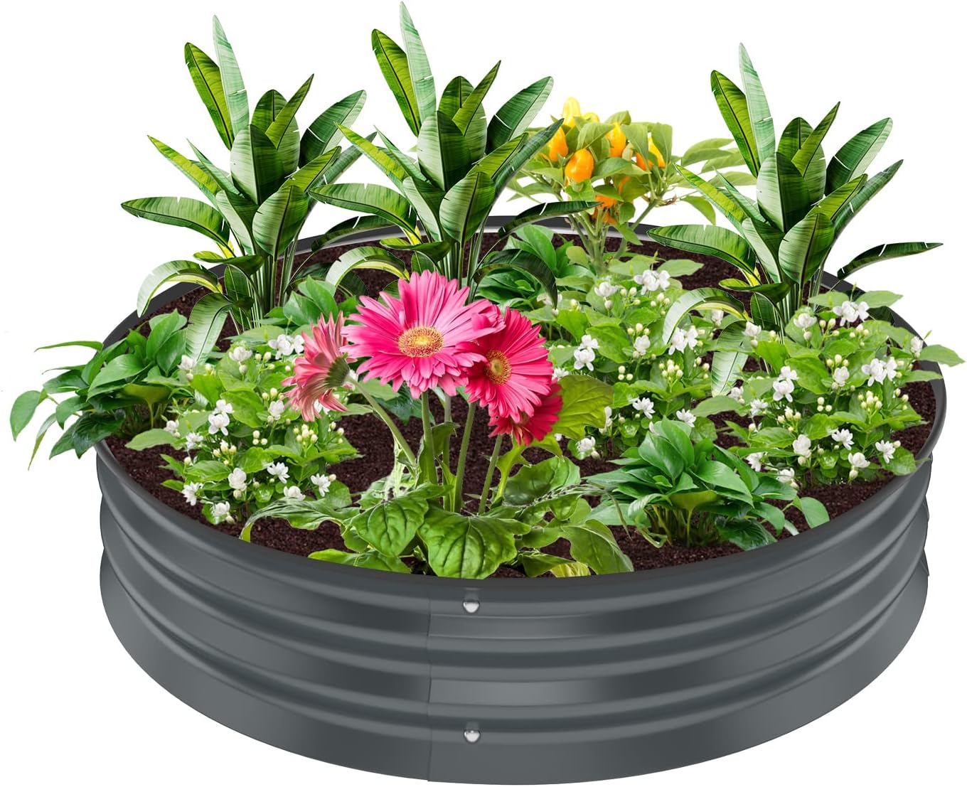 Amazon.com: FarmGeo 42" Round Raised Garden Bed 8" Tall Magnesium ...