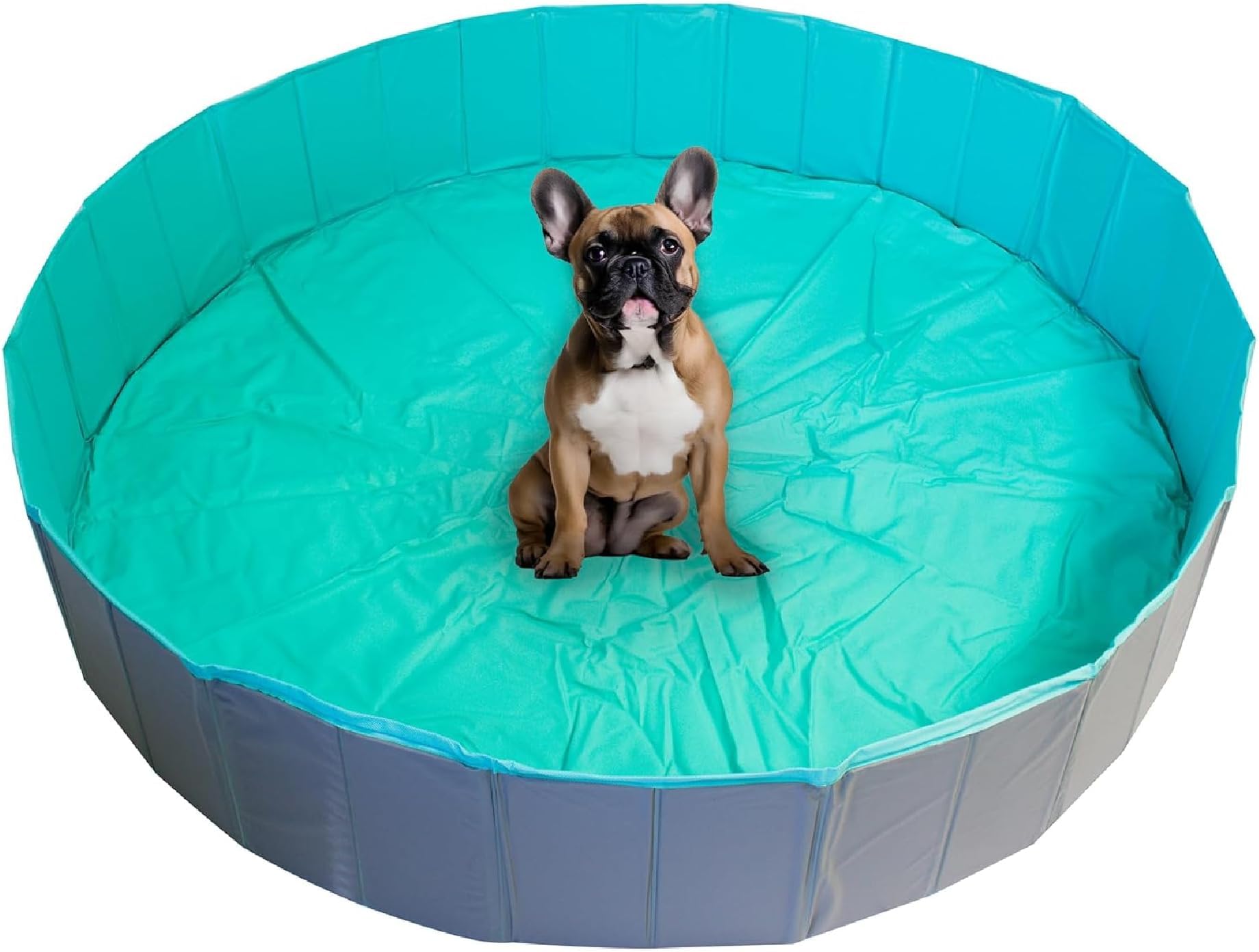 Amazon.com: EZwhelp Foldable Whelping Box and Dog Pool, Collapsible ...