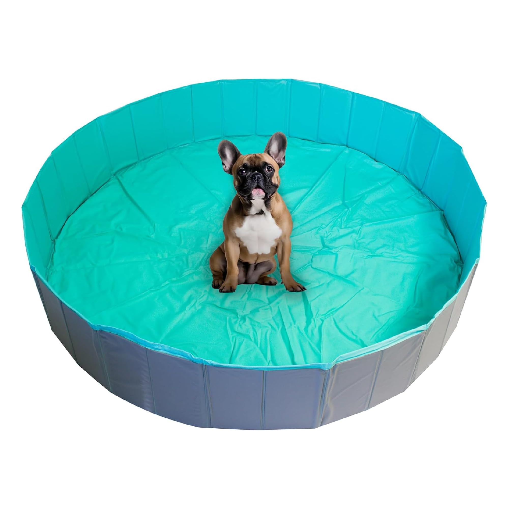 Amazon.com: EZwhelp Foldable Whelping Box and Dog Pool, Collapsible ...