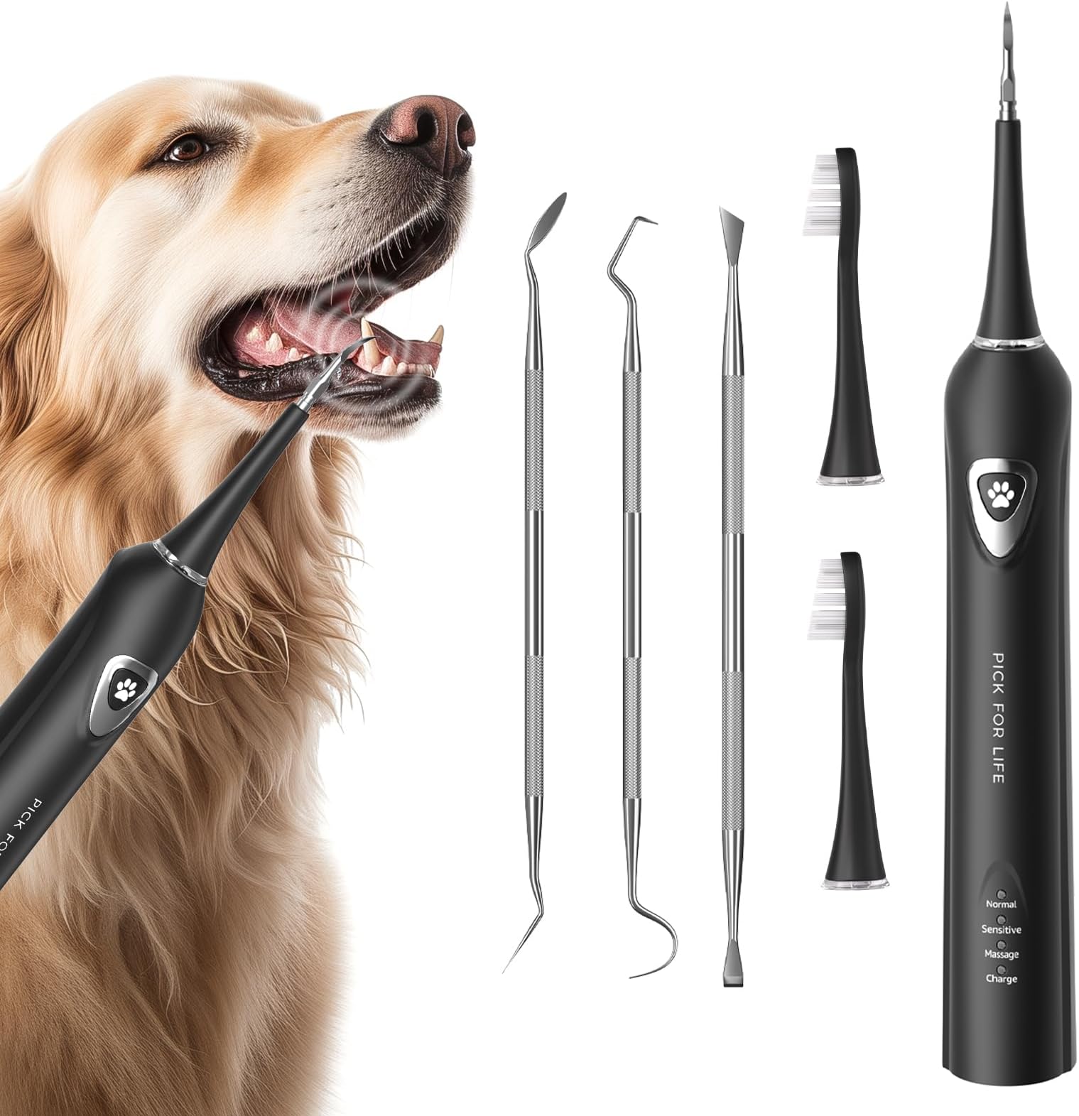 Amazon.com: PICK FOR LIFE Sonic Electric Dog Teeth Brushing Kit ...