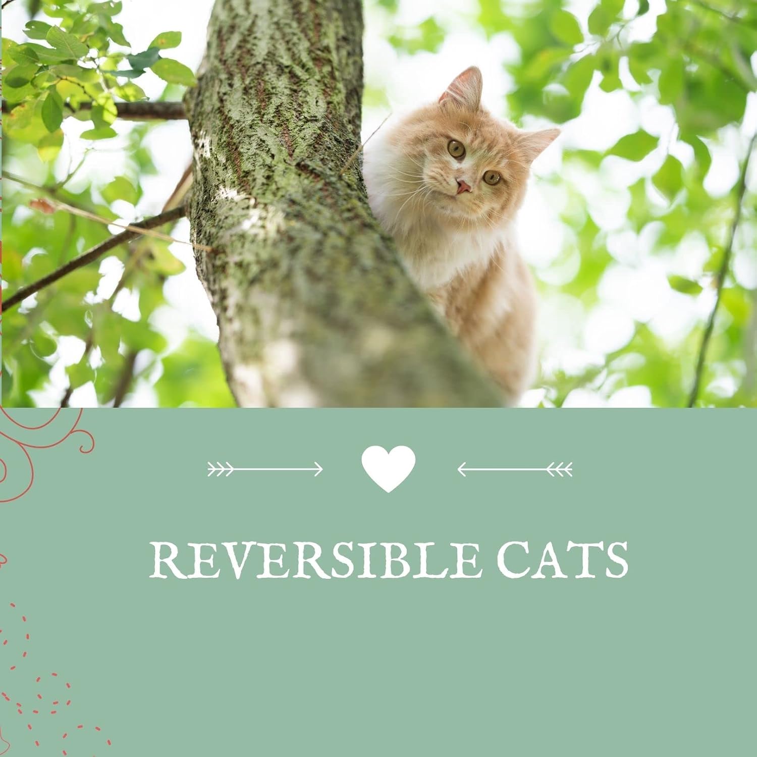 Amazon.com: Reversible Cats eBook : Correa, Brooke: Kindle Store