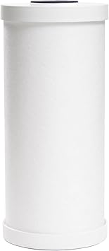 Amazon.com: GE FXHTC Whole House Water Filter | Replacement for Water ...