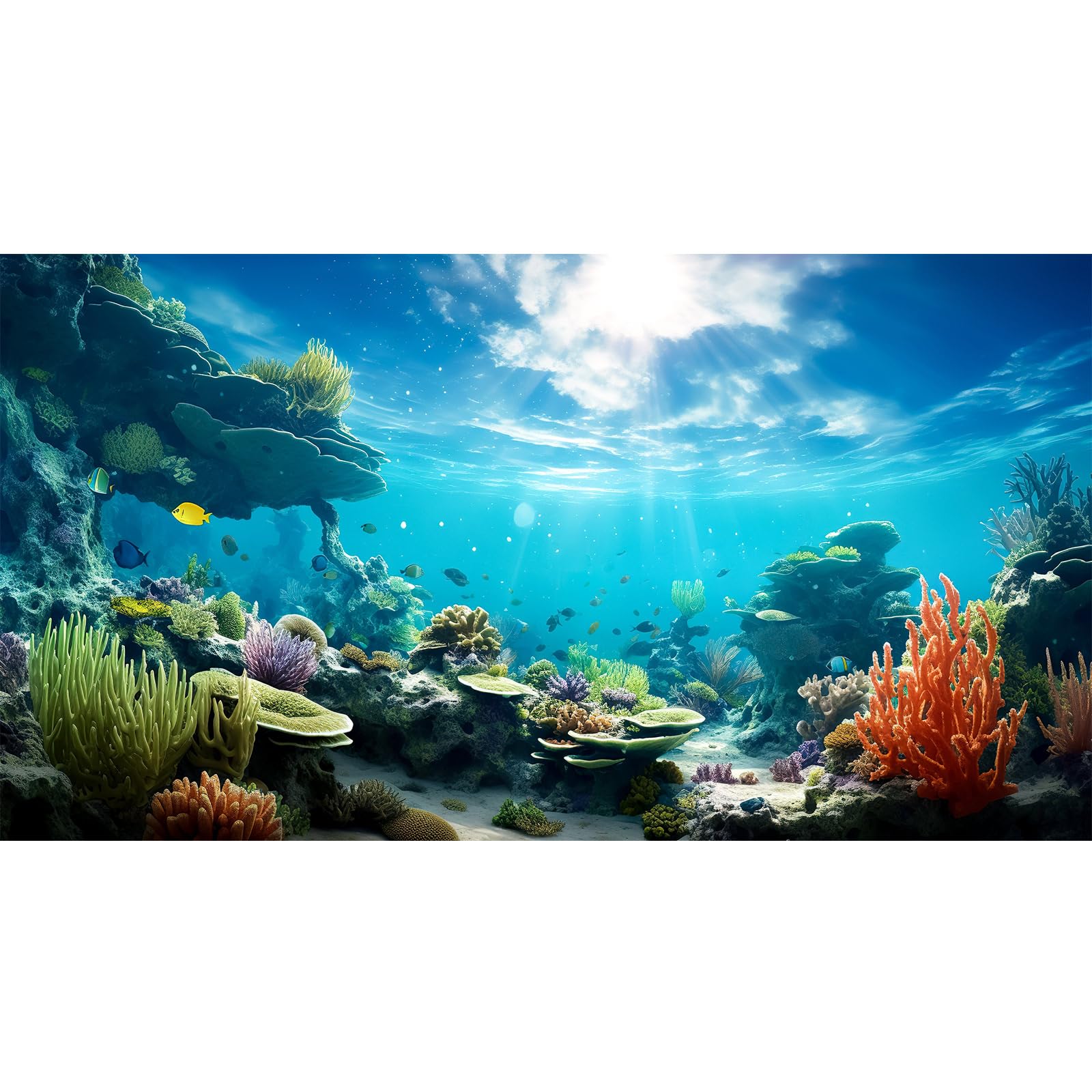 Snapklik.com : Undersea Aquarium Background Colorful Underwater Coral ...